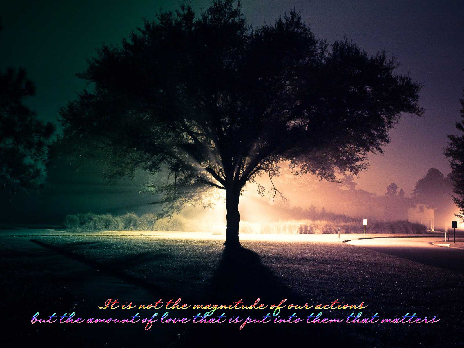 Tree Of Life Quotes And Sayings QuotesGram