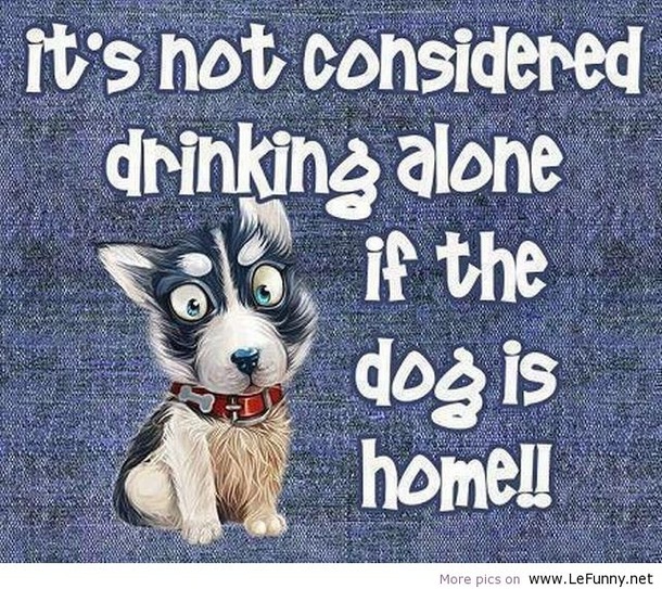 Home Alone Funny Quotes QuotesGram Home Alone Funny Quotes QuotesGram
