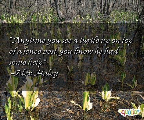 Fences Important Quotes. QuotesGram