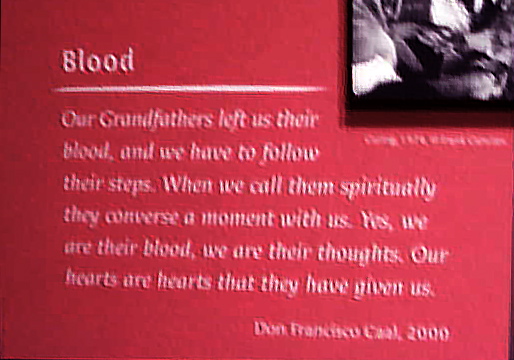 Quotes About Blood. QuotesGram