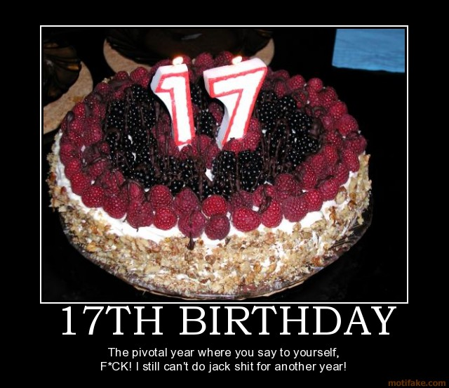17th Birthday Quotes Funny QuotesGram