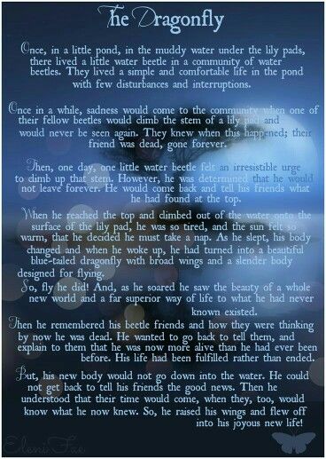 Dragon Poems And Quotes. QuotesGram