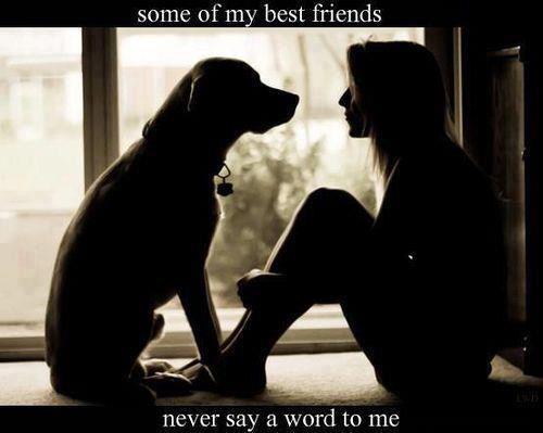 My Dog Is My Best Friend Quotes. QuotesGram