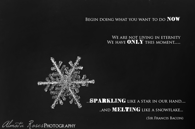 Snowflake Quotes QuotesGram Snowflake Quotes QuotesGram