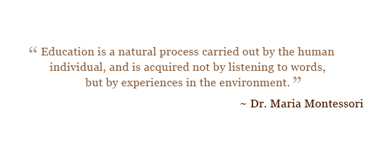 Maria Montessori Quotes On Nature Quotesgram