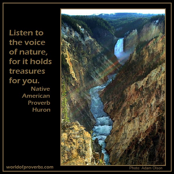 native american proverbs and wisdom
