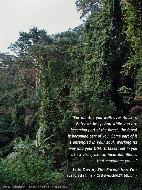 Tropical Rainforest Quotes. QuotesGram