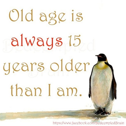 Funny Quotes About Growing Older Quotesgram