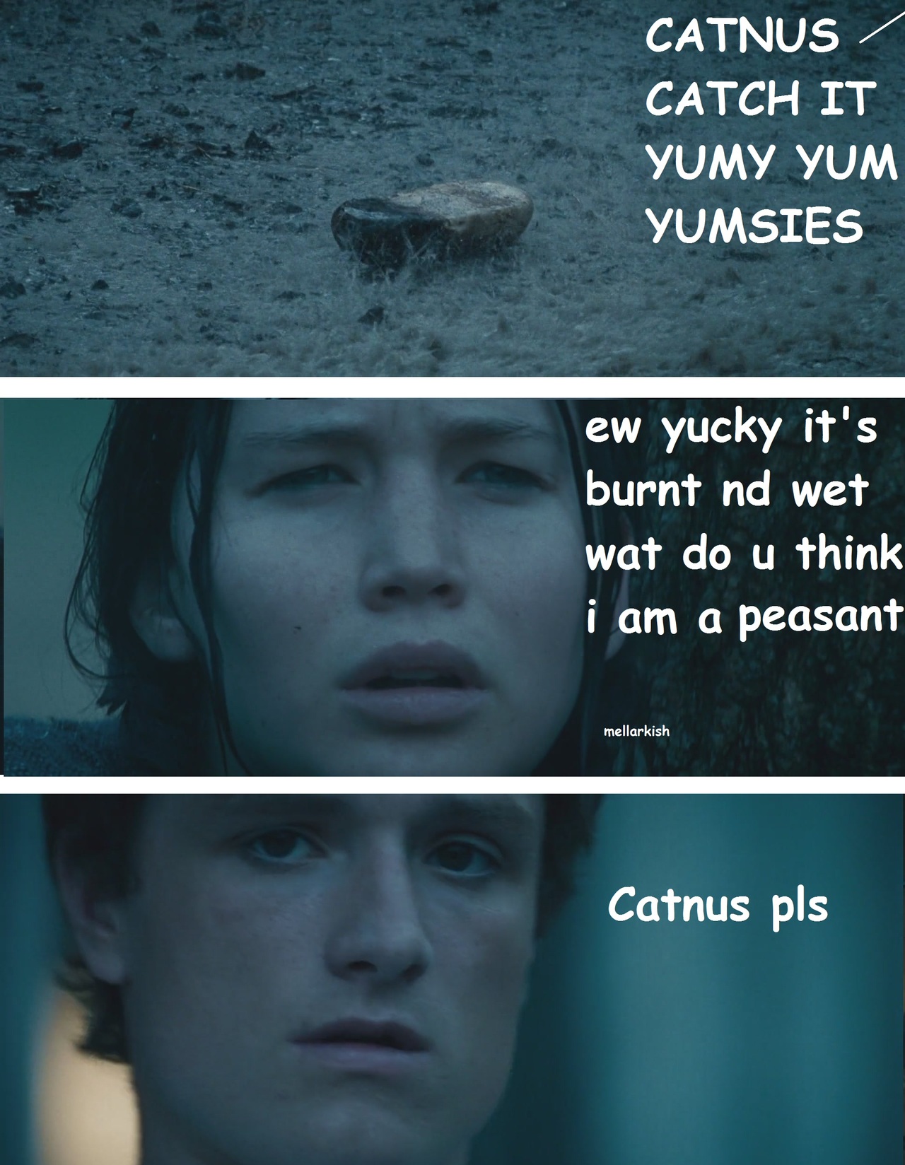 Quotes With Page Numbers From Mockingjay Part 1 QuotesGram