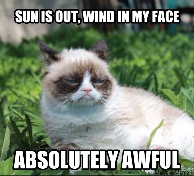 Grumpy Cat Quotes For Facebook. QuotesGram