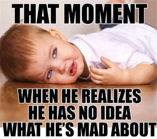 Temper Tantrum Funny Quotes. QuotesGram