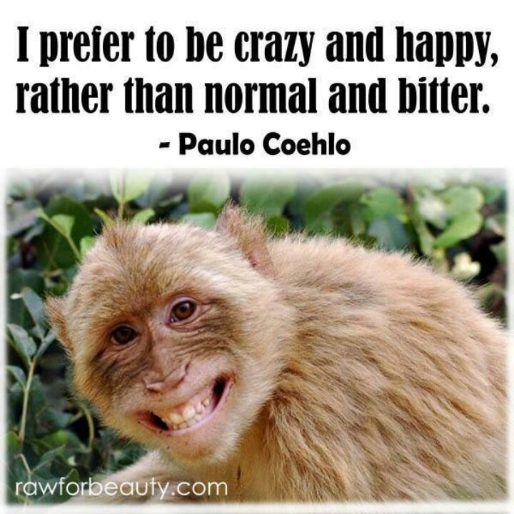 Crazy Happy Quotes. QuotesGram