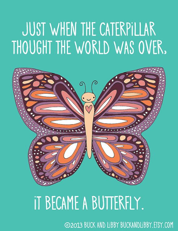 Butterfly Transformation Quotes QuotesGram