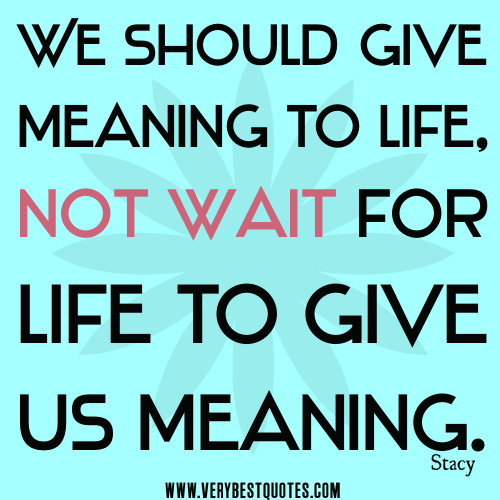 Meaning Of Life Funny Quotes QuotesGram