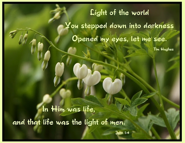 Bleeding Heart Quotes. QuotesGram