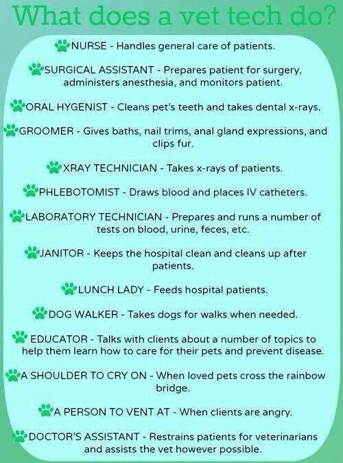 Veterinary Tech Inspirational Quotes QuotesGram Veterinary Tech Inspirational Quotes QuotesGram
