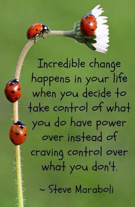 Taking Control Of Life Quotes. QuotesGram