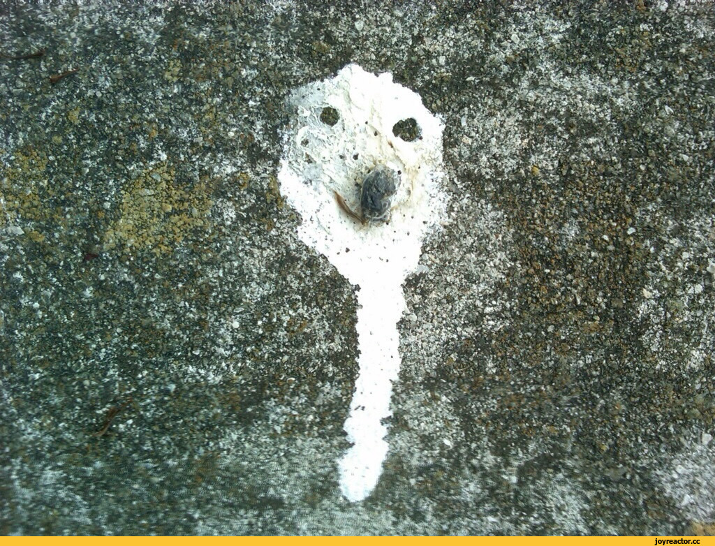 Bird Poop Quotes. QuotesGram