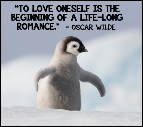 Baby Penguin Quotes. QuotesGram