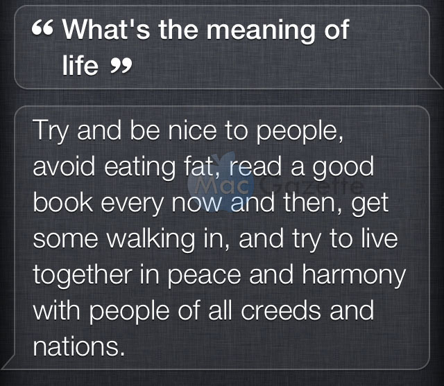 Meaning Of Life Funny Quotes QuotesGram