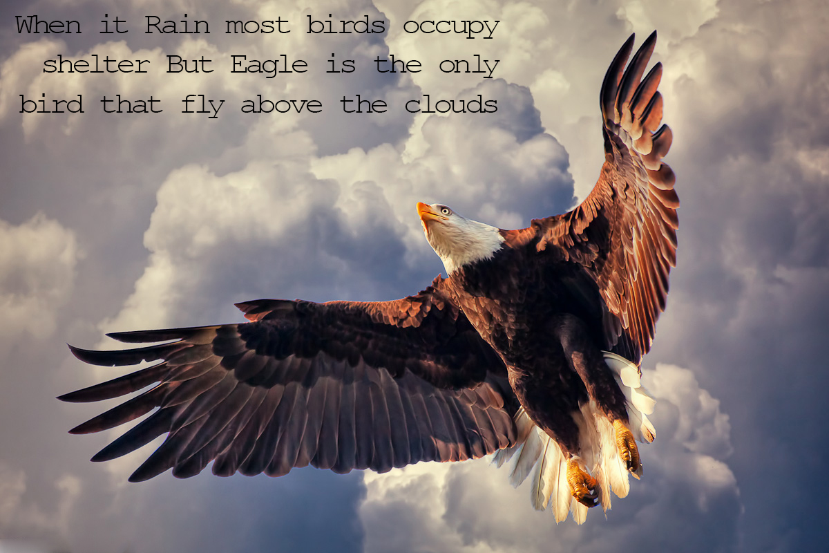 Indian Inspirational Quotes About Eagles QuotesGram
