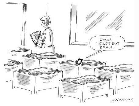 Texting Safety Quotes. QuotesGram