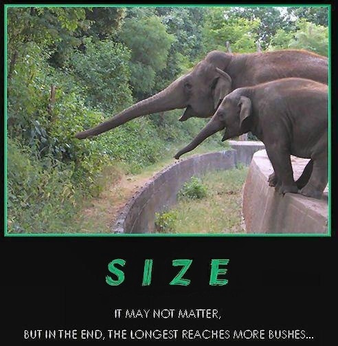Size Does Matter Quotes. QuotesGram