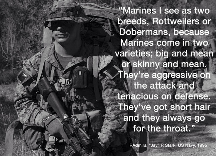 Top Marine Quotes QuotesGram Top Marine Quotes QuotesGram