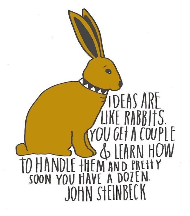 Rabbit Quotes. QuotesGram