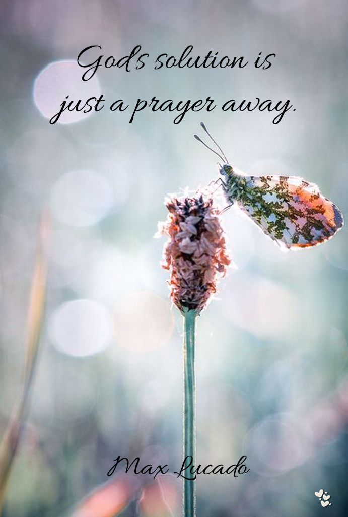 Prayer Max Lucado Quotes. QuotesGram