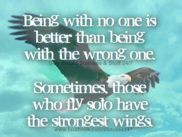 Flying Solo Quotes QuotesGram flying-solo-quotes-quotesgram