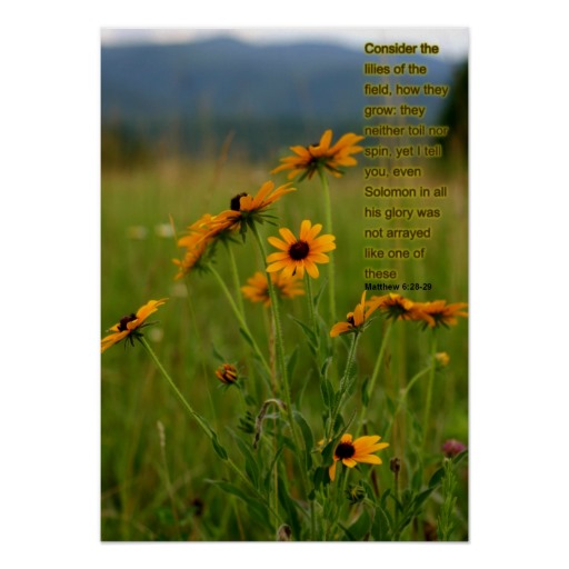 Matthew 6 44 Bible Quotes. QuotesGram