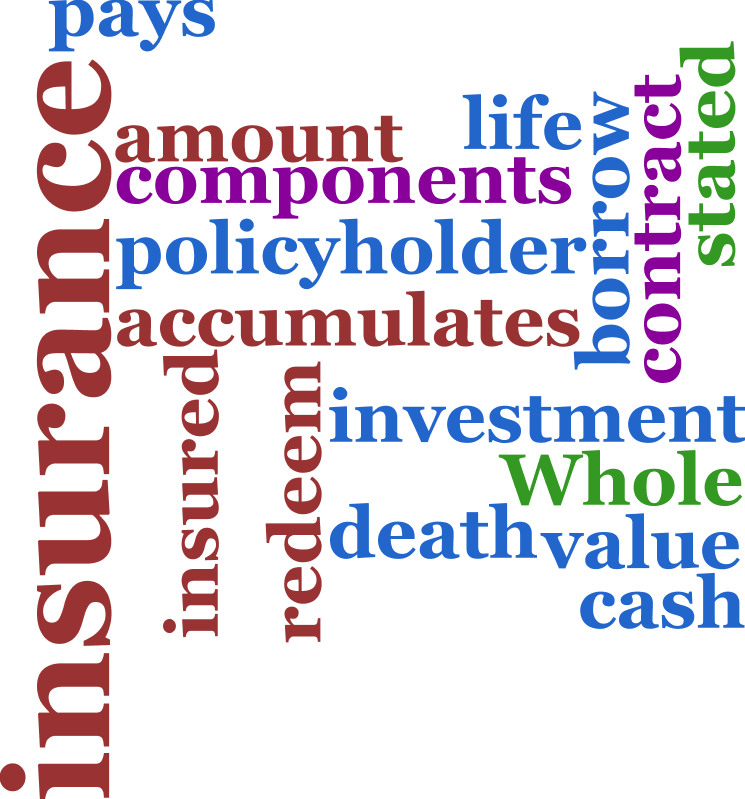 Whole Life Insurance Quotes Online. QuotesGram