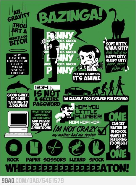 Sheldon Cooper Quotes About Birthdays Quotesgram