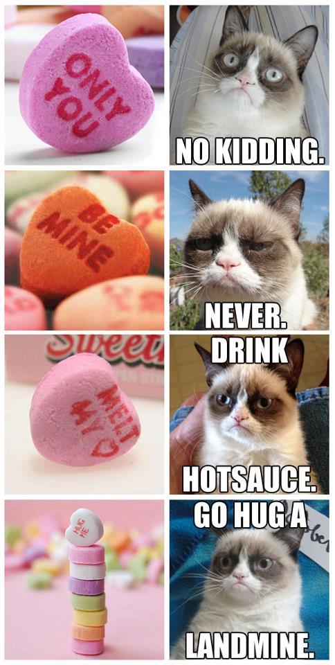 Funny Quotes From Grumpy Cat. QuotesGram