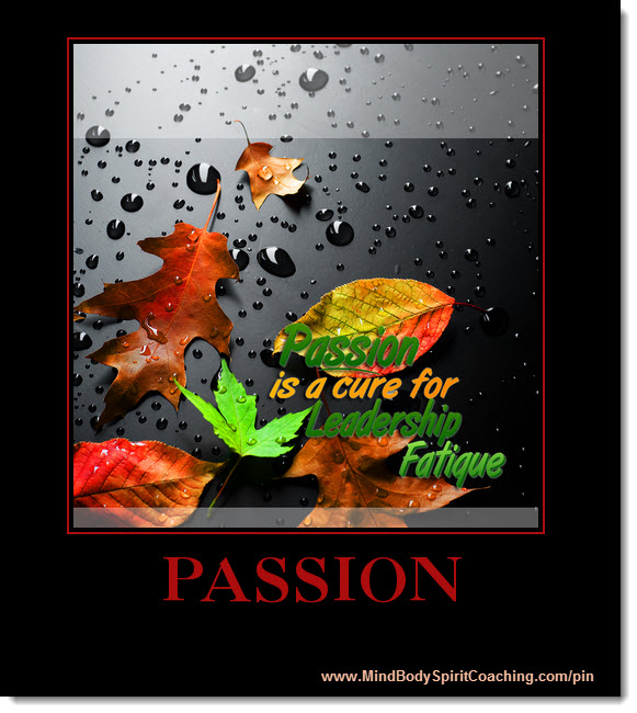 Leadership Quotes Passion. QuotesGram