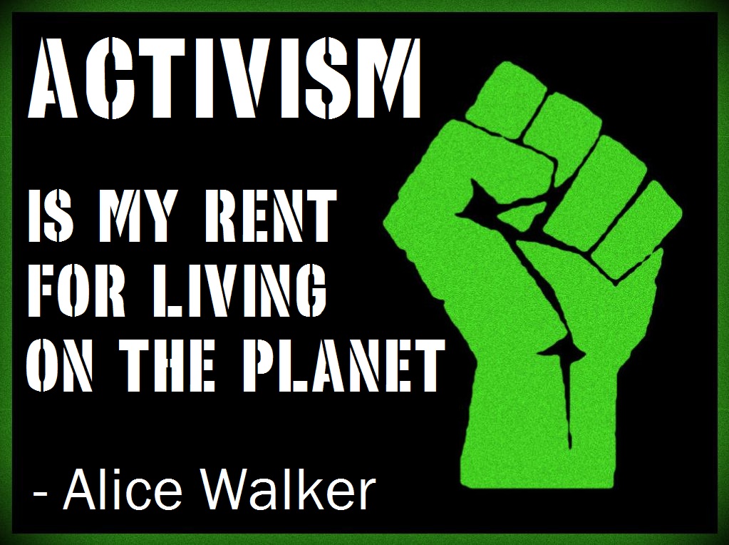 Quotes About Activism. QuotesGram Quotes About Activism. QuotesGram