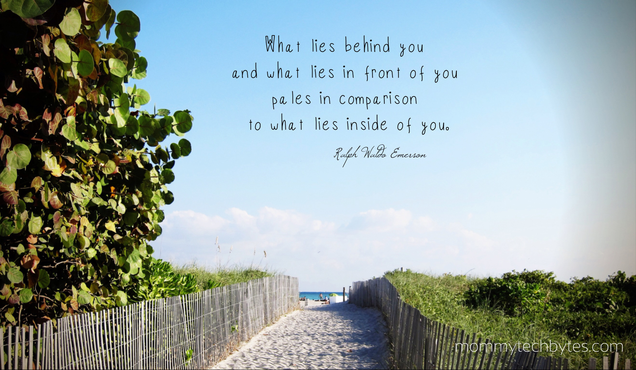Good Bio Quotes QuotesGram