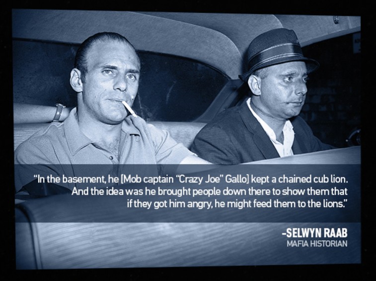 Famous Mob Boss Quotes QuotesGram Famous Mob Boss Quotes QuotesGram