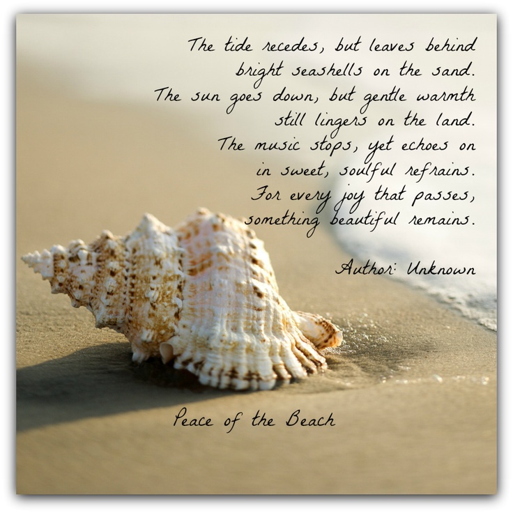 Inspirational Quotes About Seashells QuotesGram Inspirational Quotes About Seashells QuotesGram