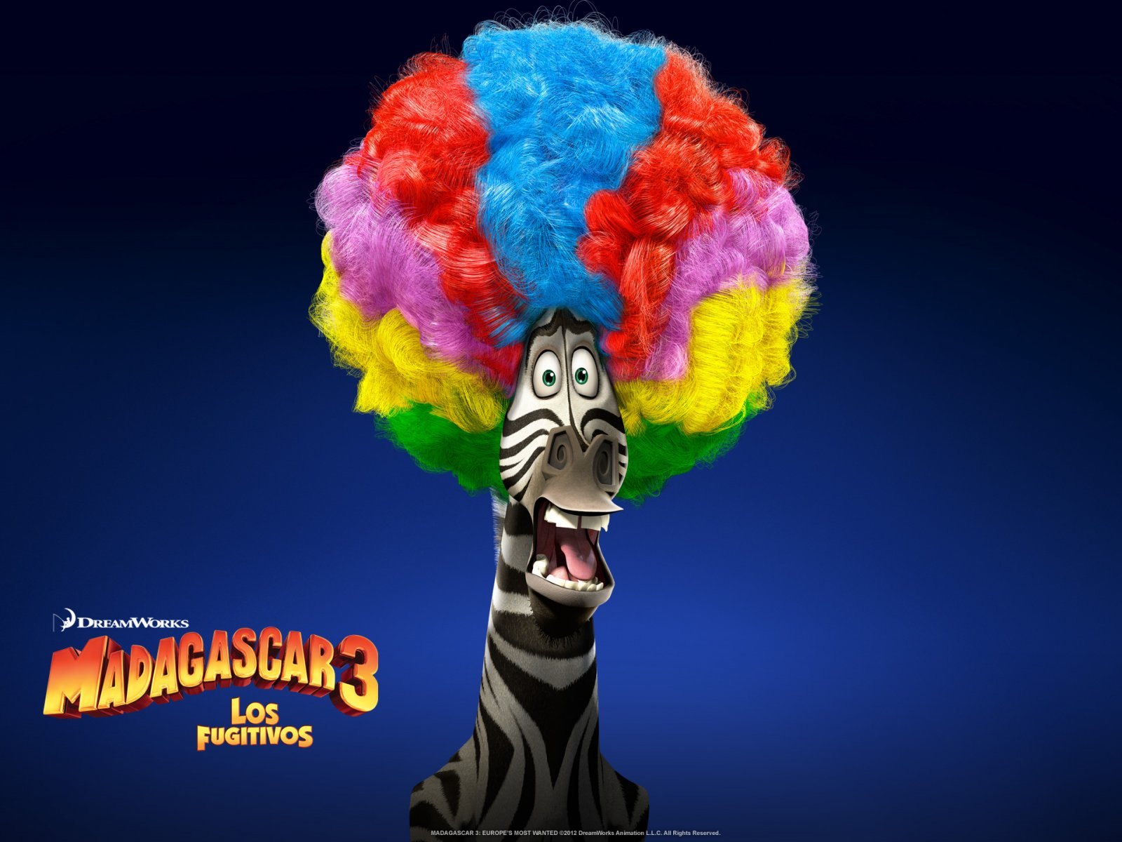 Madagascar Marty Afro Madagascar Marty Afro