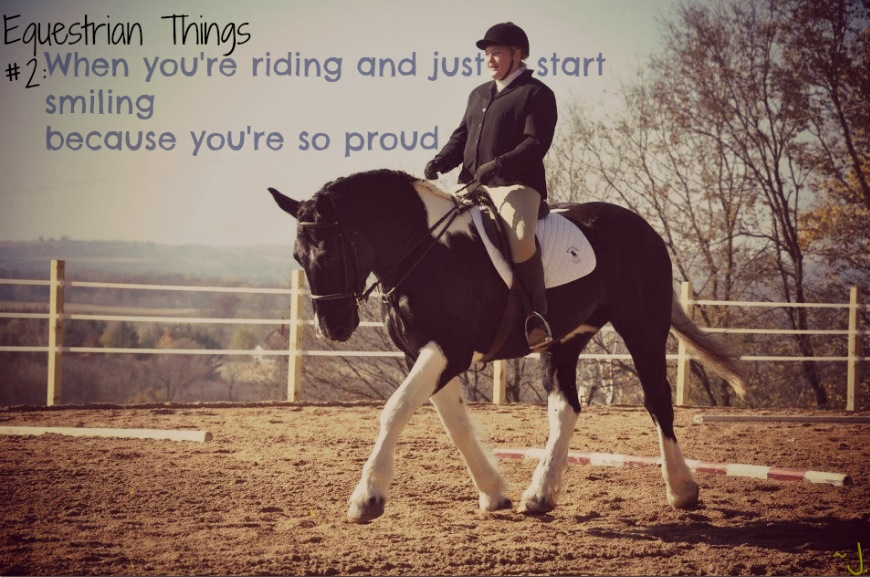 Great Dressage Quotes. QuotesGram