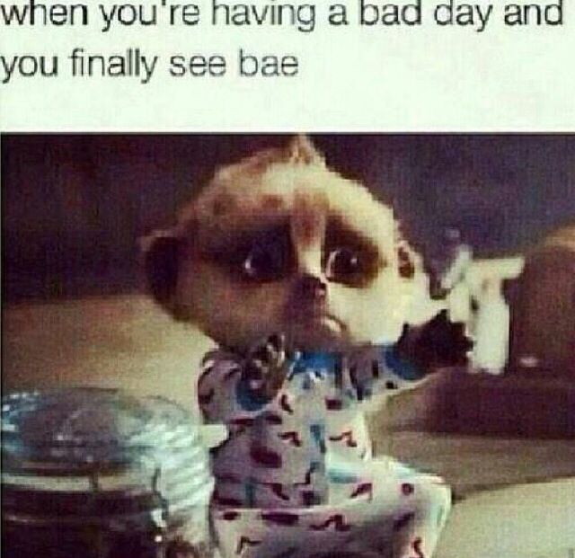 Quotes About Bae Memes Quotesgram