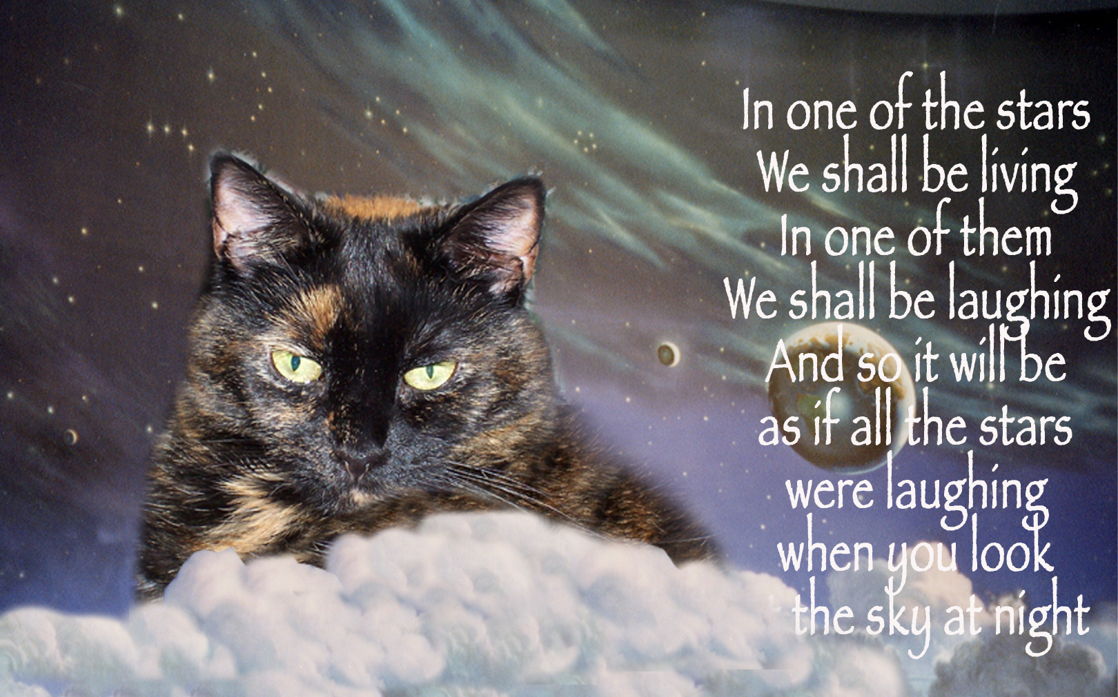 Quotes For Grieving Pet Owners. QuotesGram Quotes For Grieving Pet Owners. QuotesGram