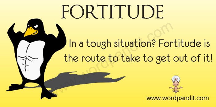 Mental Fortitude Quotes Quotesgram