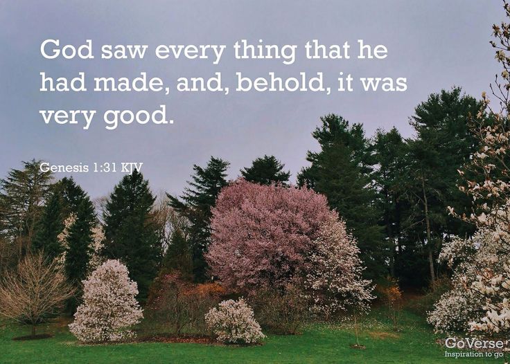 Bible Quotes About Science. QuotesGram