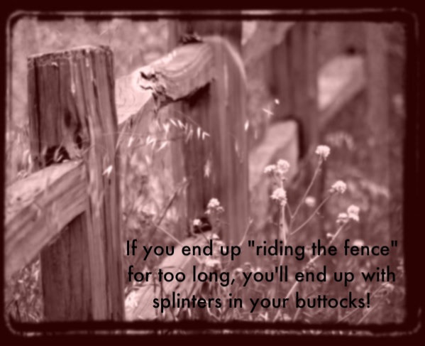 Riding The Fence Quotes. QuotesGram