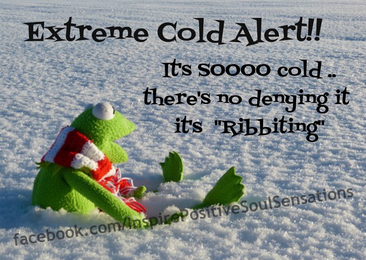 Its So Cold Funny Quotes QuotesGram Its So Cold Funny Quotes QuotesGram