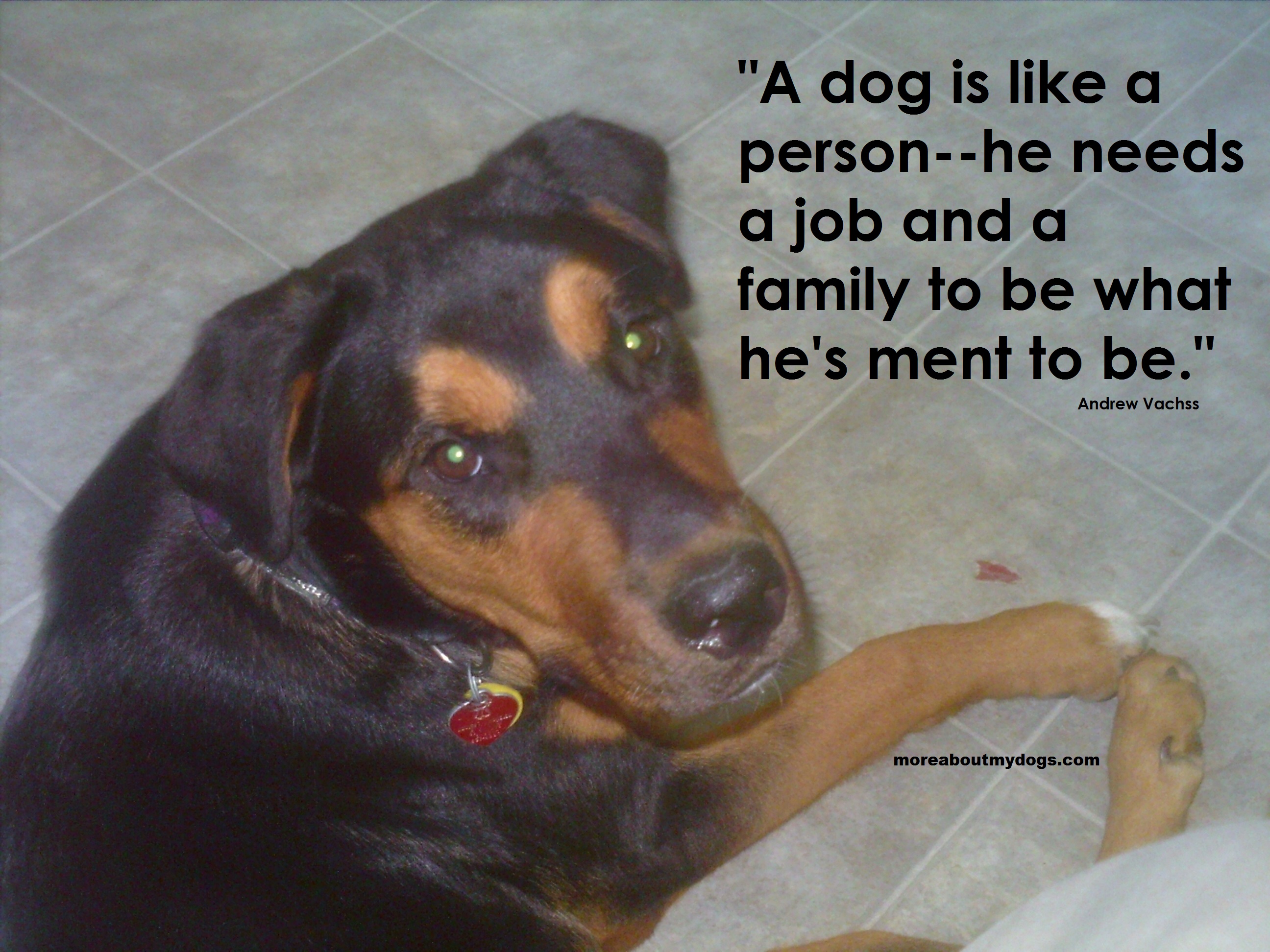 Sweet Quotes About Dogs QuotesGram sweet-quotes-about-dogs-quotesgram