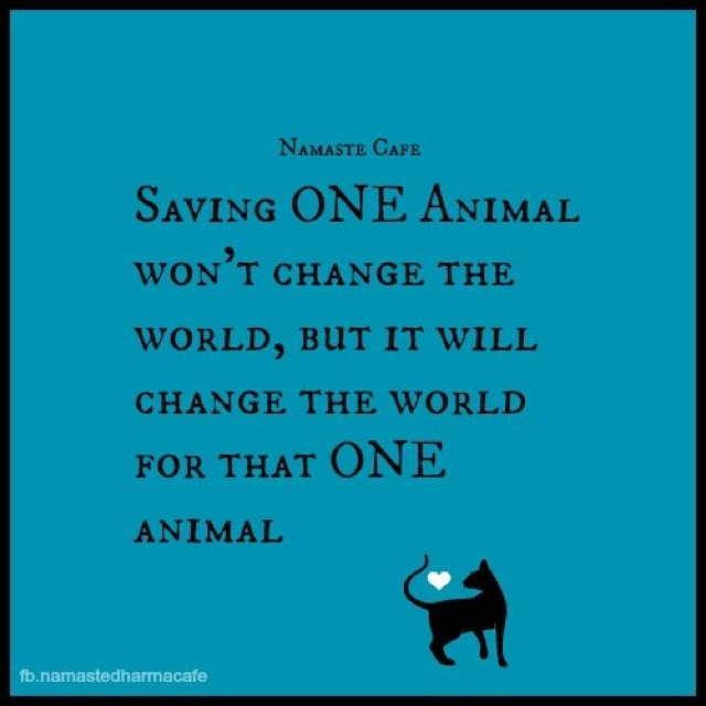 Save The Animals Quotes QuotesGram